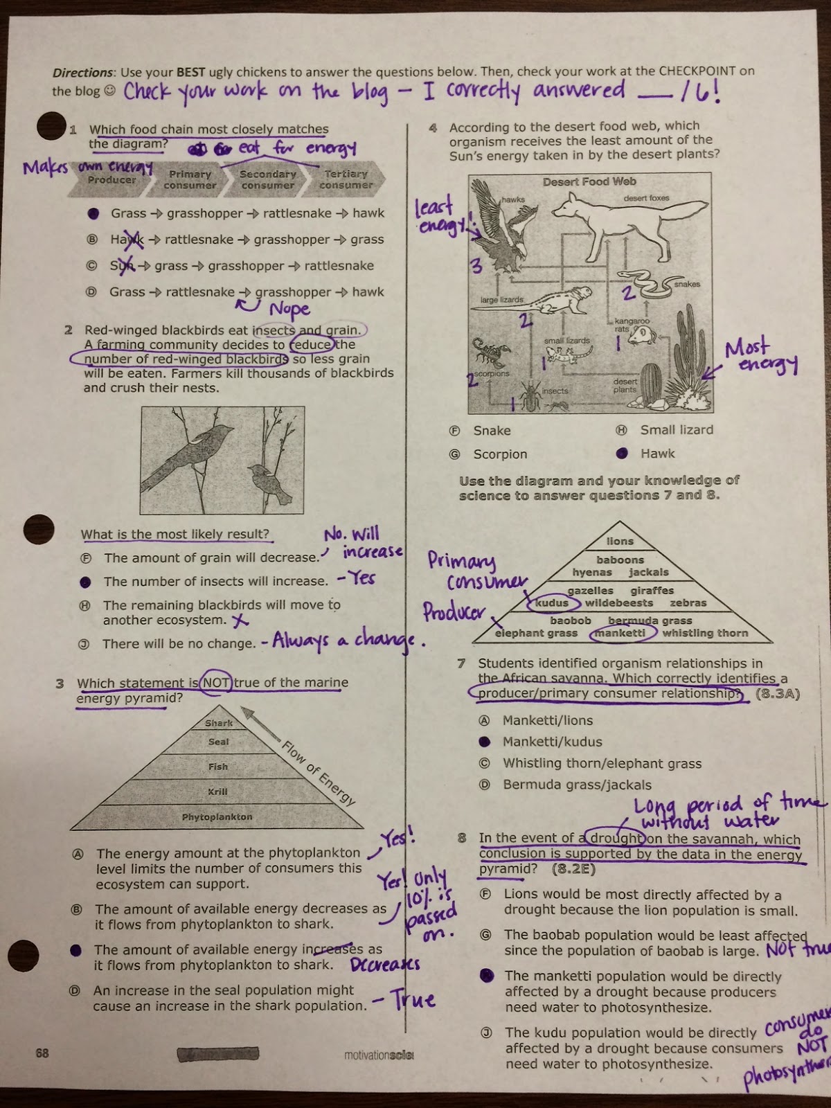 Ms. Robinson's Super Scientists: Checkpoint