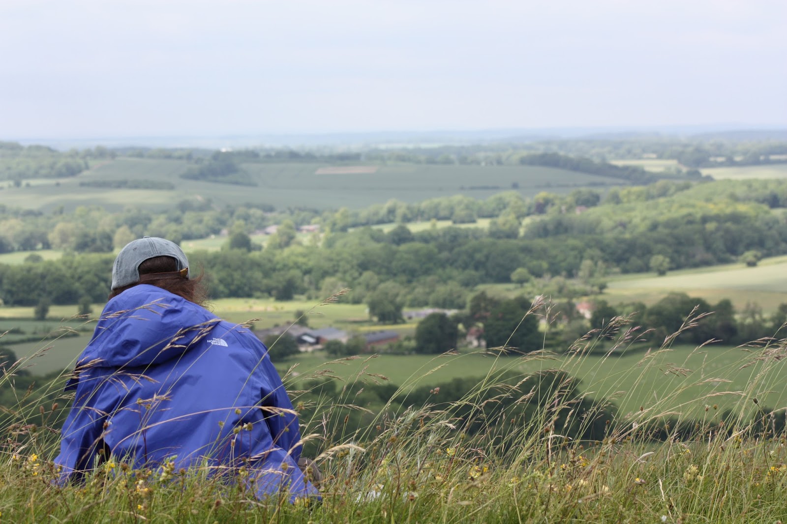 The Natural Year: The travelling naturalist from across the ocean