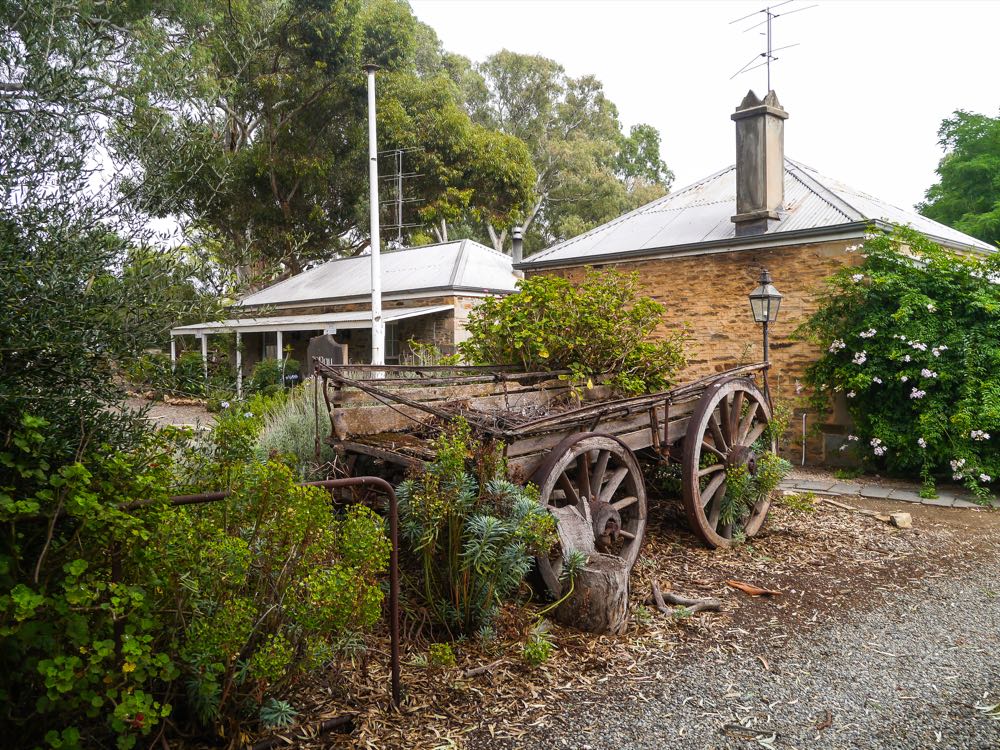 Terra Australis: Walking the Riesling Trail: Leasingham - Auburn