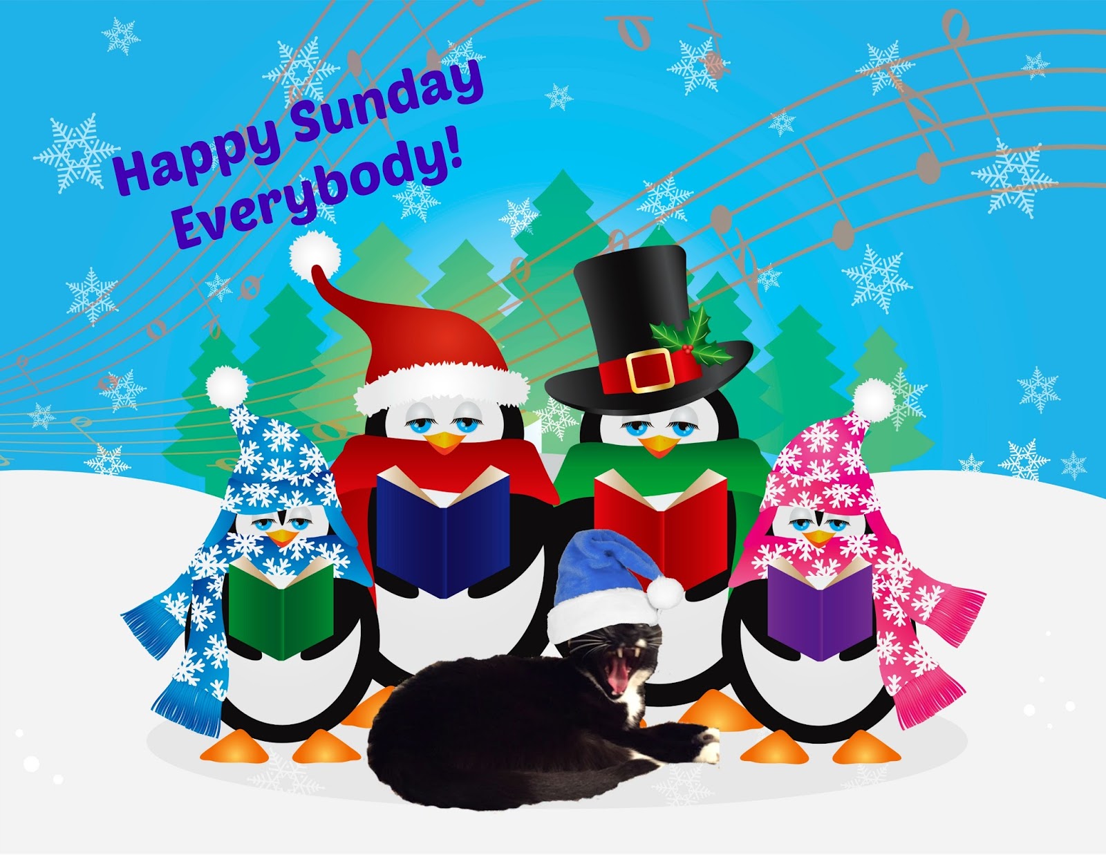 CATachresis: Sunday Squashed Ear Selfie!