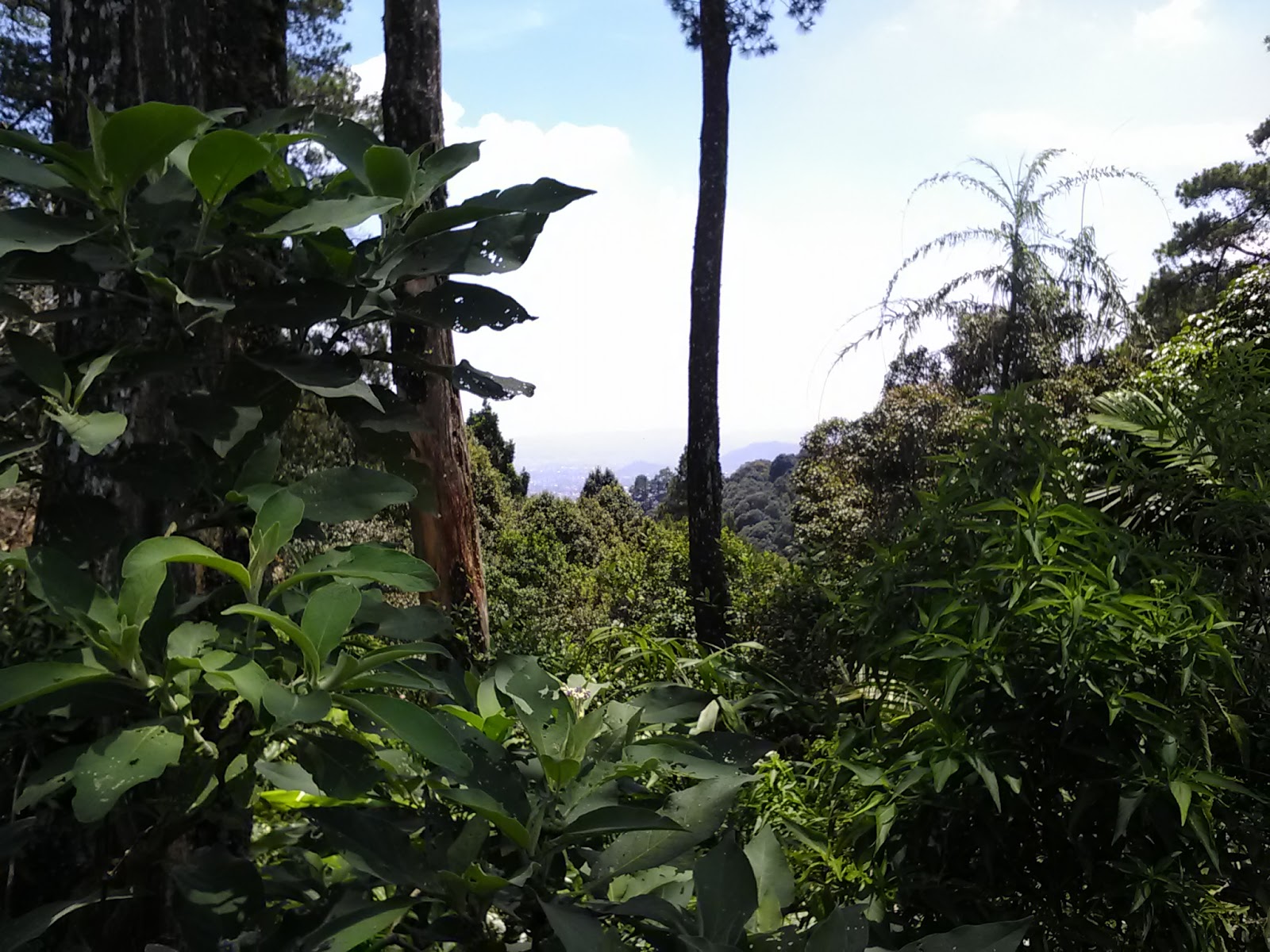 lEmbAh pAsIr sUmbUl lEmbAh pAsIr sUmbUl