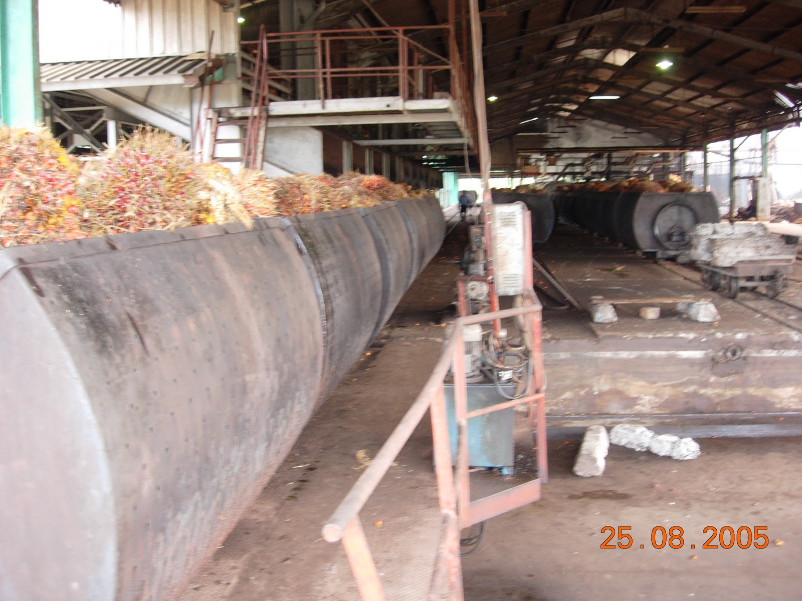 LORI ~ Palm Oil Industry