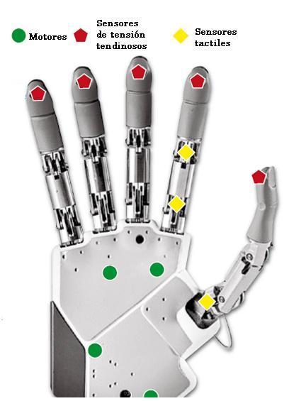 REHABILITACIÓN Y MEDICINA FÍSICA. Mirando al futuro.: Mano biónica ...