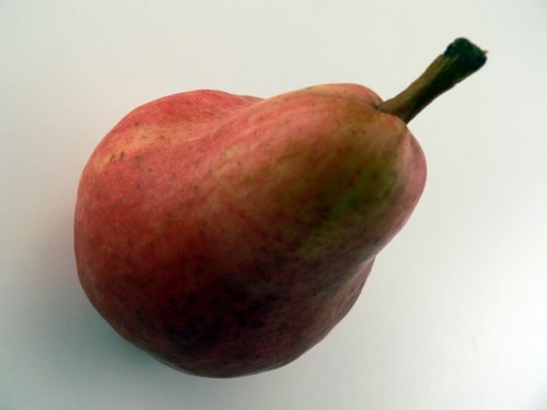 Dalinda Armut Resimleri ~ Resimler Diyarına Hoşgeldiniz