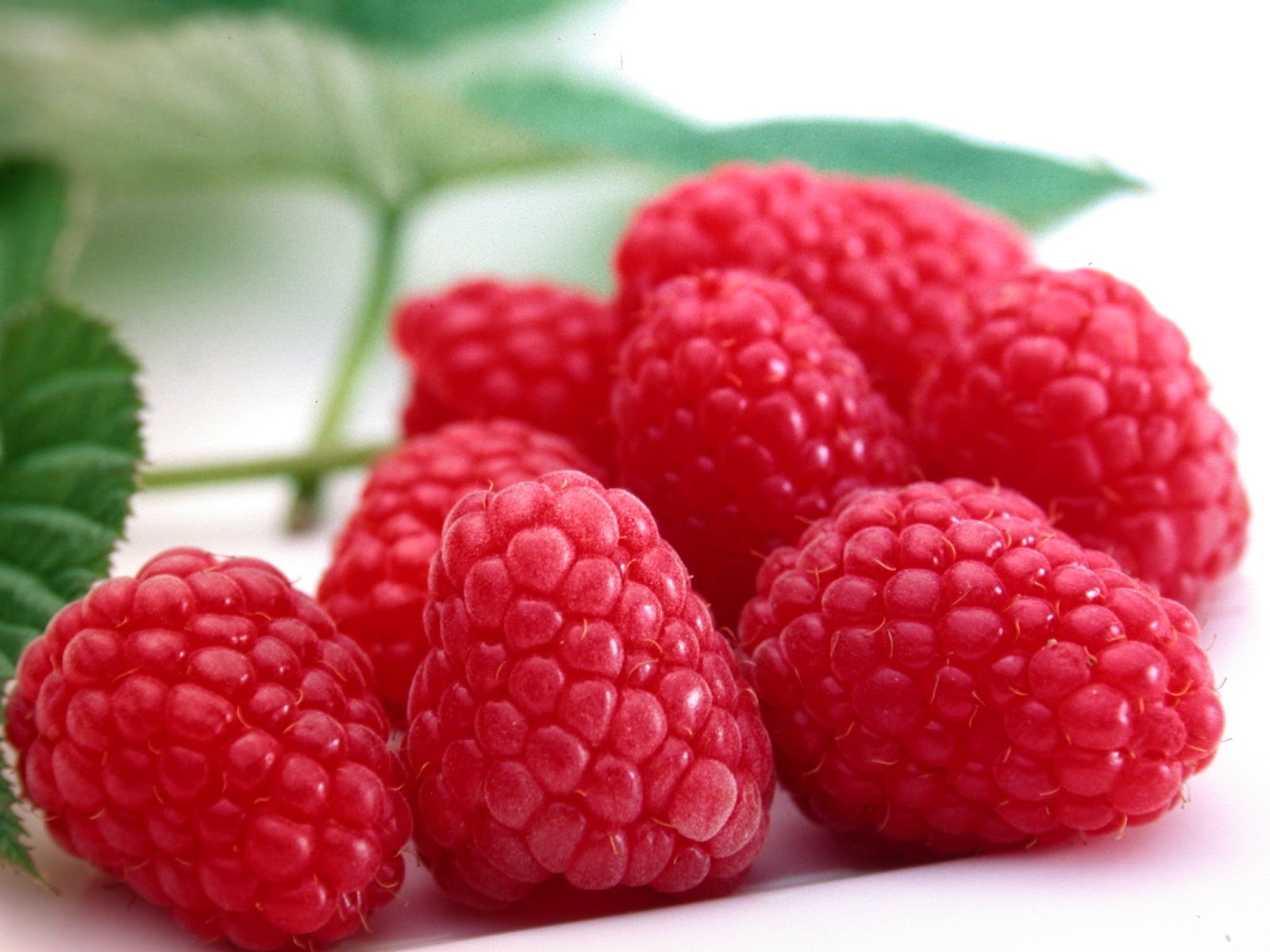 Gambar Buah Frambos (Raspberry) - Gambar Buah