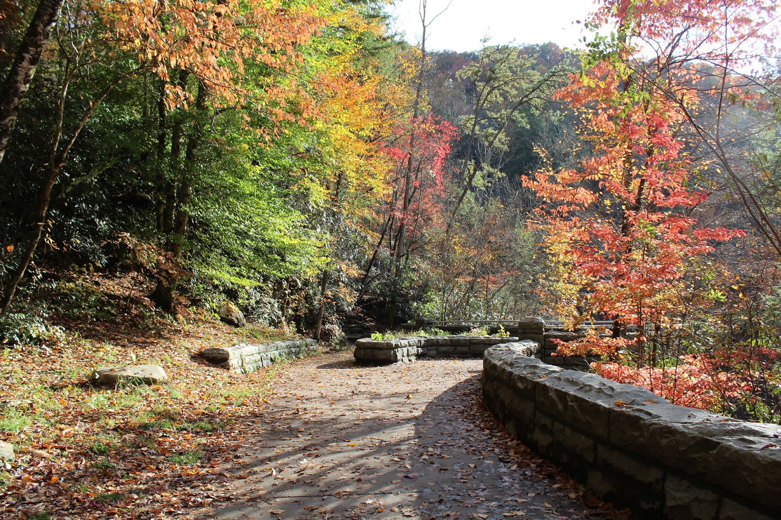 a sunny side of southern: FALL IN TENNESSEE