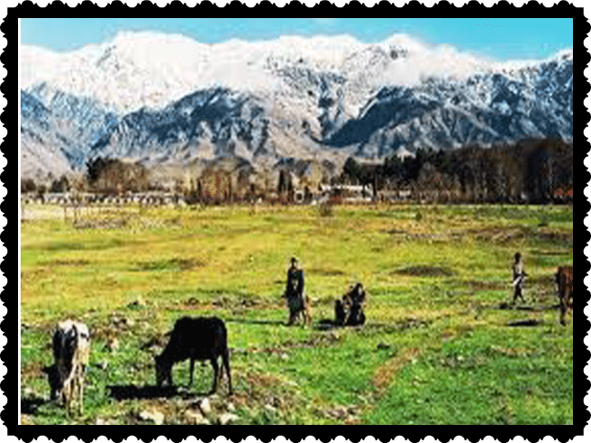 MOUNTAIN & GLACIER OF PAKITAN: SAFED KOH MOUNTAIN RANGE (Spin Ghar )