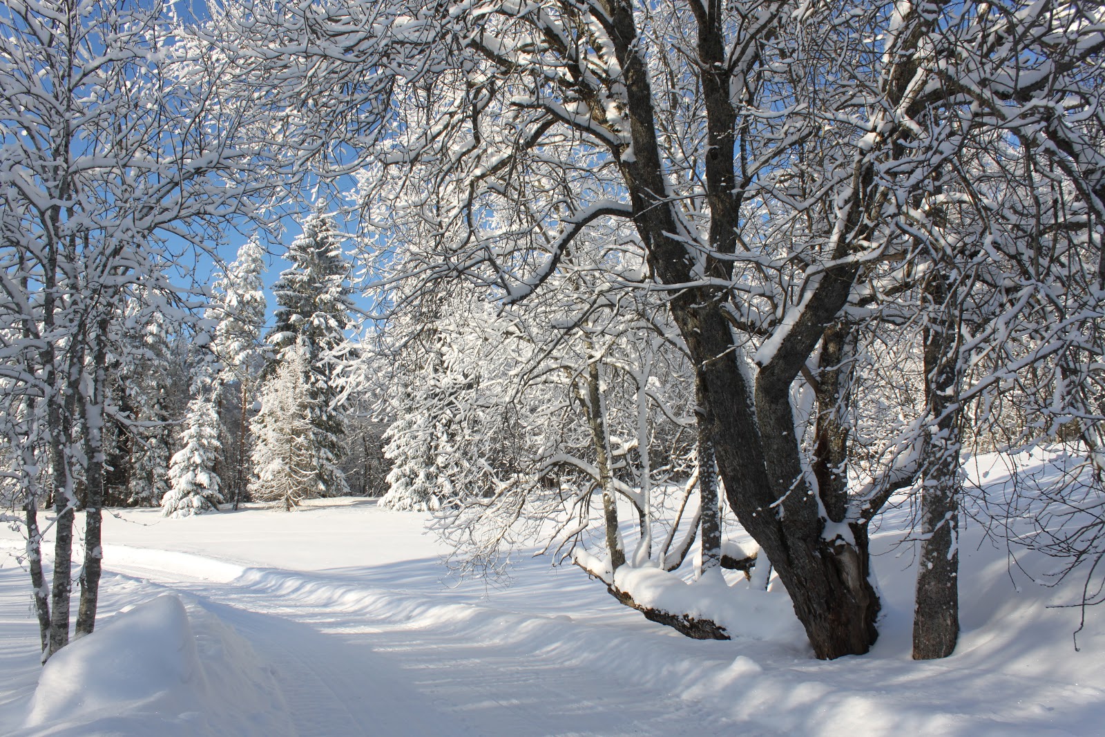 Vaskna Turismitalu: Imeilus Haanjamaa talv.