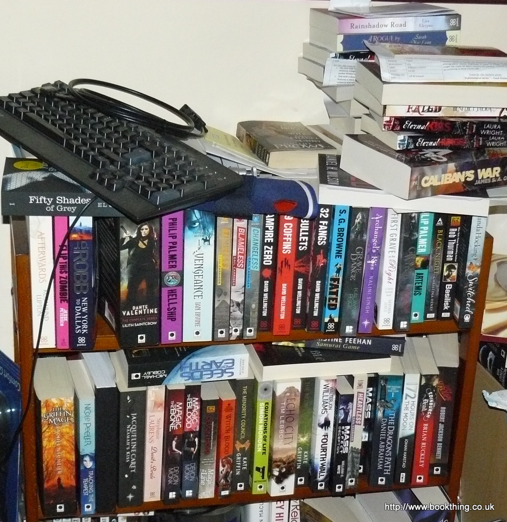 Bookcase Showcase: Blogger Grete from Book Thing