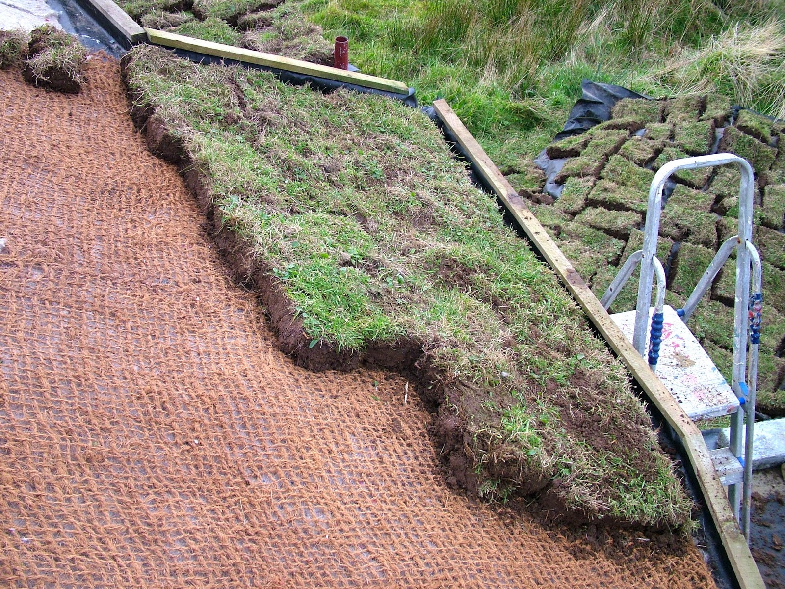 Ardailly Ecoroundhouses: More photographs of the turf roof