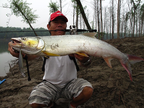 ANGLING WORLD 魔魚釣界: Monster Fish in China - Yellow Cheek!!