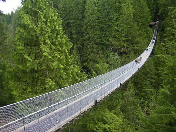 THE WORLD GEOGRAPHY: 11 Beautiful & Interesting Footbridges Around the ...