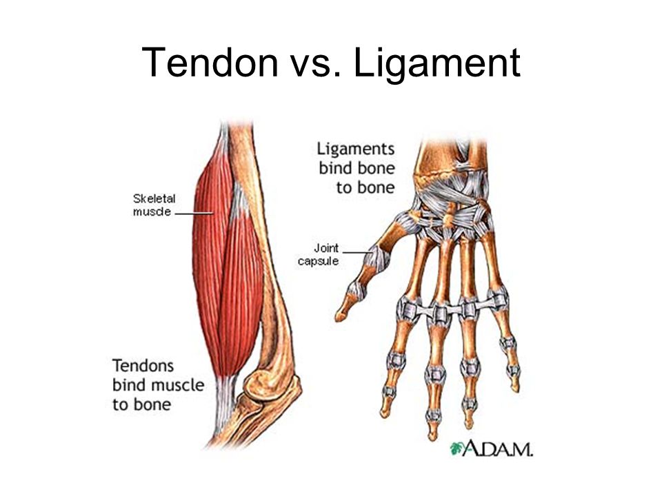 'Double jointed'? 'Bendy'? An osteopath's guide to joint hypermobilty
