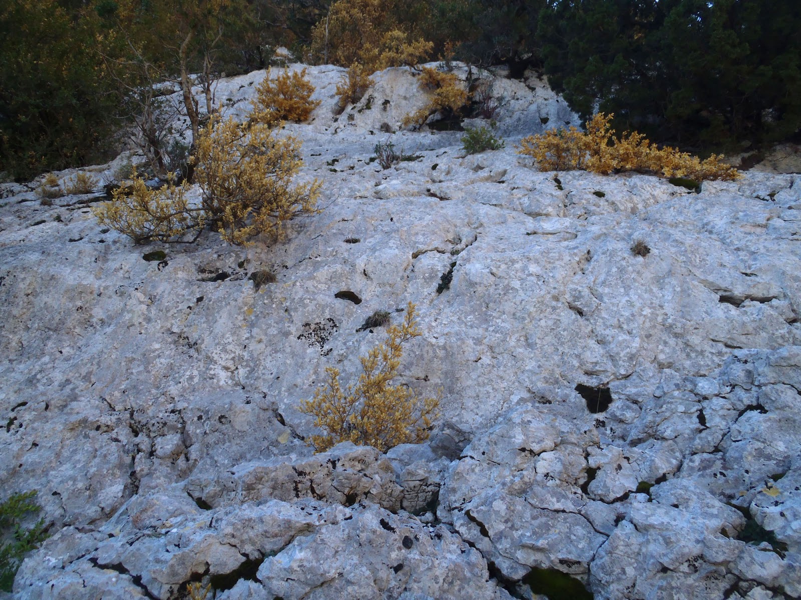 El Valle de Rodellar: LA SEQUERA DEL 2016