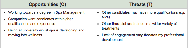 Alejandra Ibarra Pdp Portfolio Swot Analysis