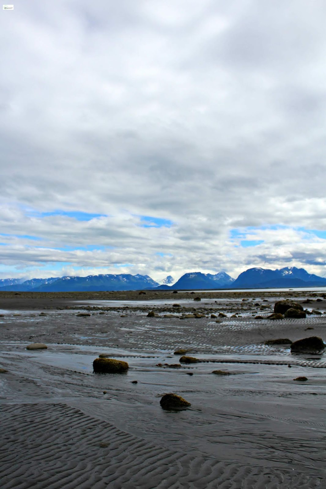 Bishop's Beach // Homer, Alaska | Caravan Sonnet