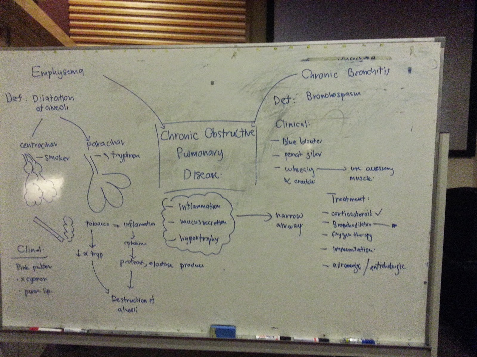 Medical Concept maps : Respiratory System