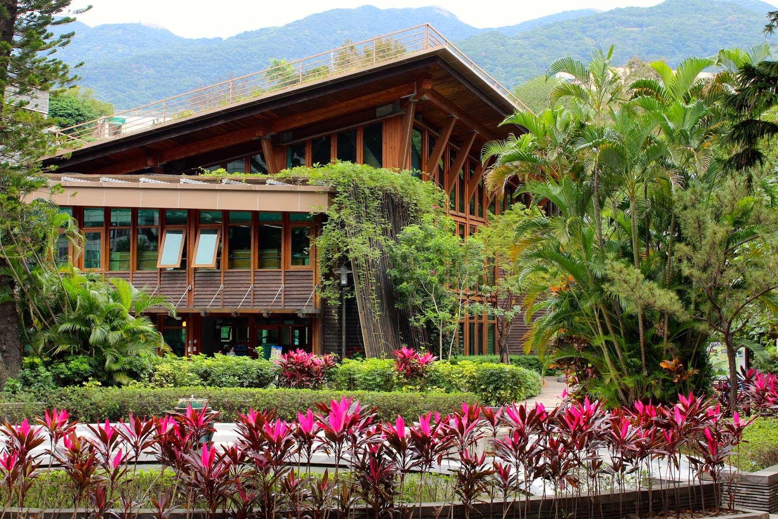 Incredible Libraries Around the World!