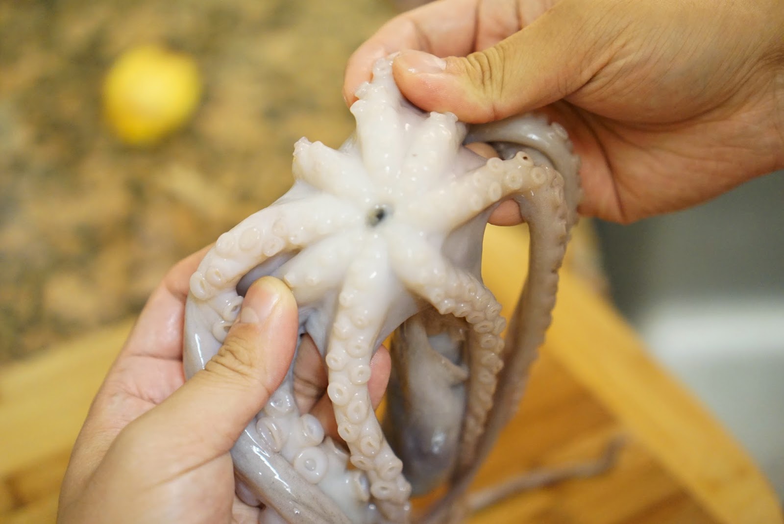 Day in the Life of a Hungry Food Explorer: Conquering the Slimy and ...