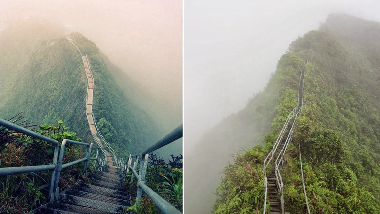 Interesting Things to know: STAIRWAY TO HEAVEN - HAIKU STAIRS