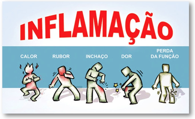 Diário Patológico: INFLAMAÇÃO AGUDA E CRÔNICA