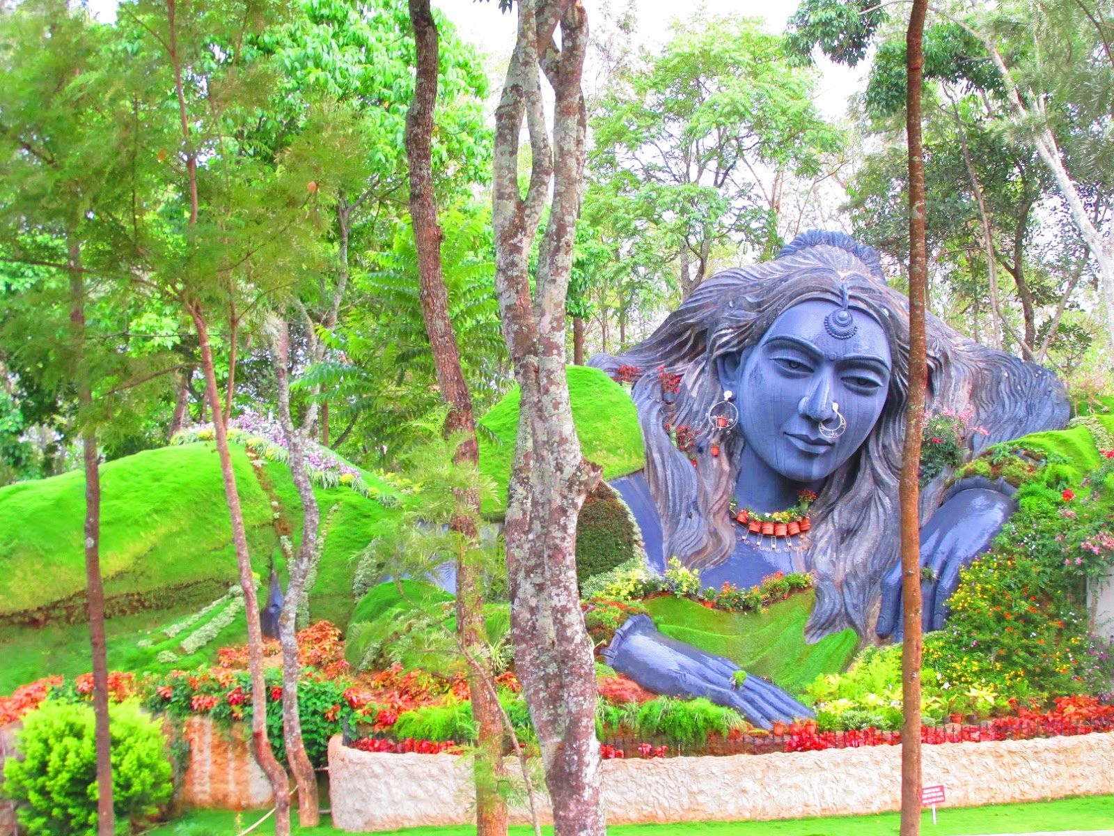 Siri Cafe - Chikmagalur