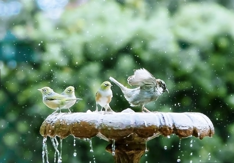 Beautiful nature - Wiki