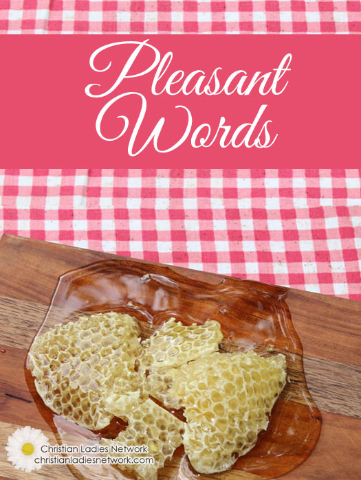 Christian Ladies Network : Pleasant Words are as an Honeycomb