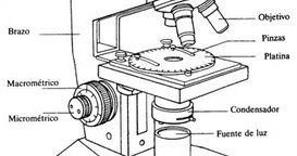 BLOG CIENCIAS NATURALES SED COSTA RICA LILIANA LARA