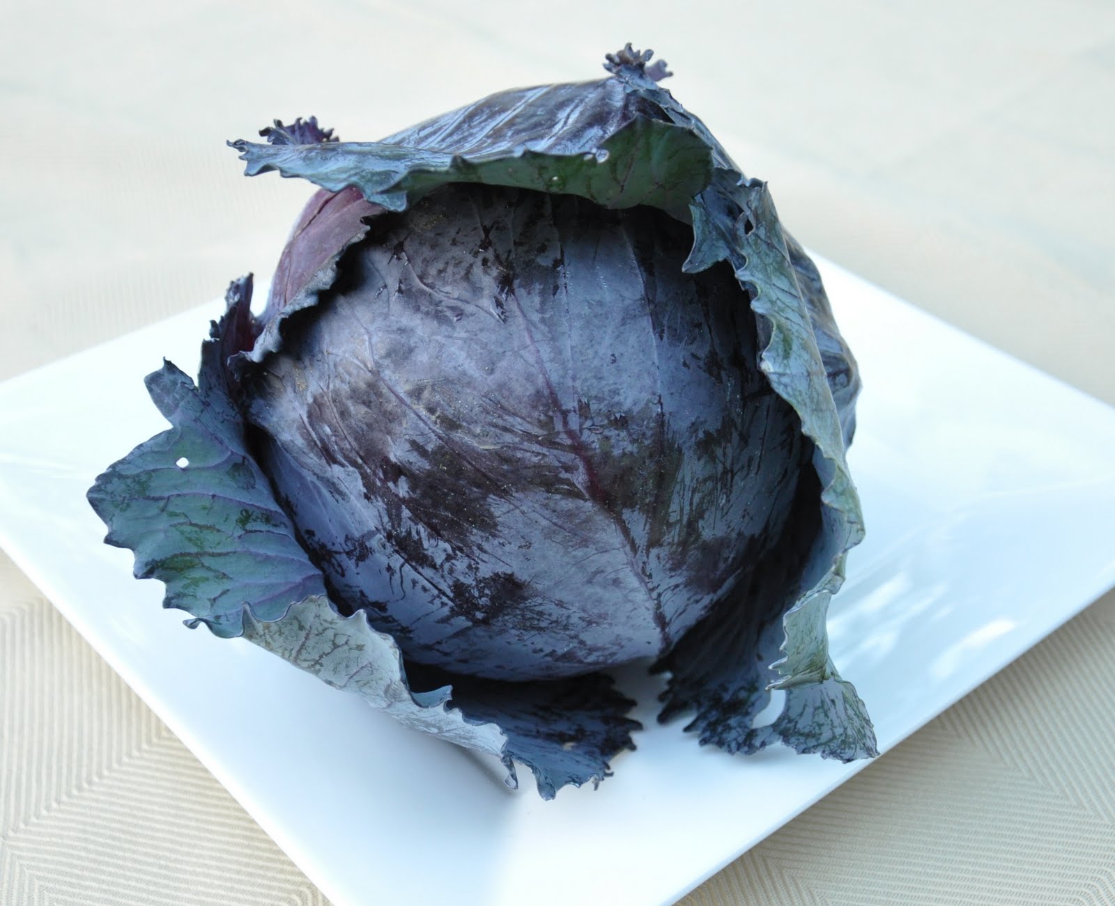 If Music be the Food of Love, Play On: HOW TO: Rødkål - Danish Braised ...