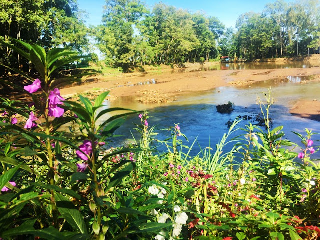 Things To Do In Manolo Fortich Bukidnon