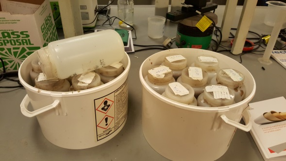 The Papermaking Bible - A definative Guide : Consistency Measurement ...