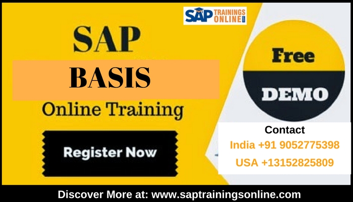 SAP BASIS Online Training: Learn SAP BASIS | SAP BASIS Netweaver ...
