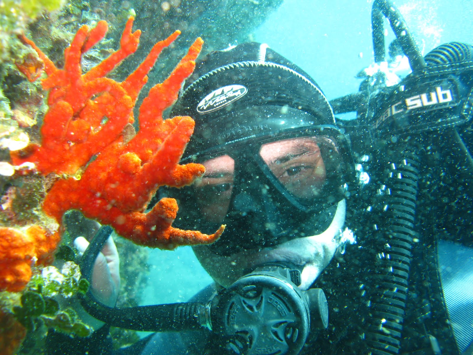Petries Divers Club: καταδυση στο Γαρδο