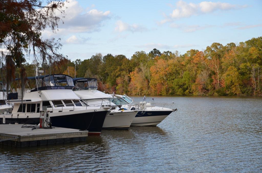 Once Around: Bobby's Fish Camp, Alabama River Cut