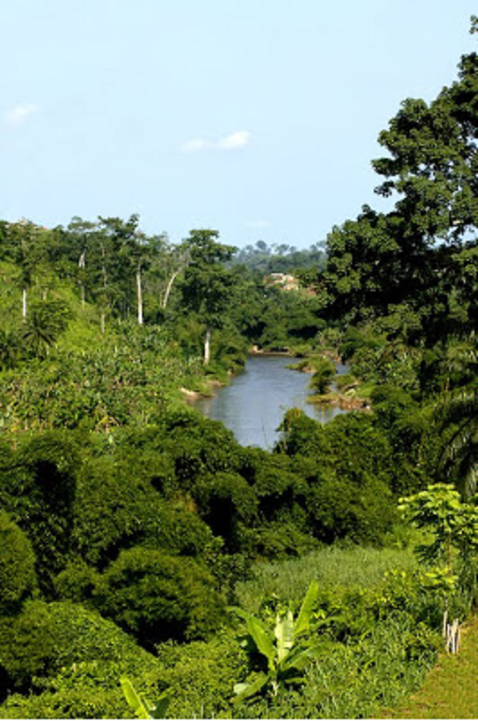 tropicalia: "baía e cidade do enclave de Cabinda"