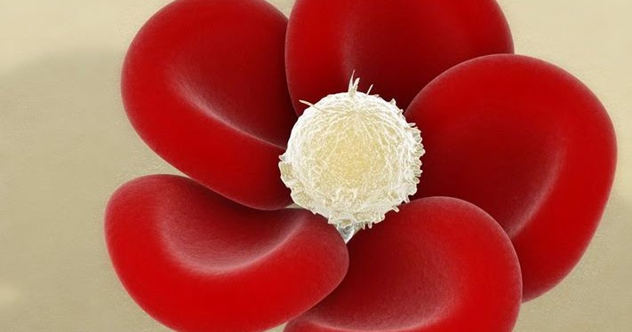 Medical Laboratory and Biomedical Science: Blood Cell Flower