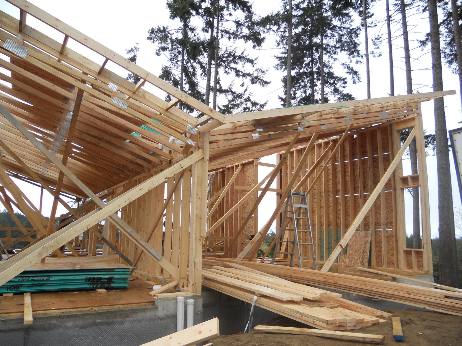 Butterfly House: April 24th - Main floor - Roof trusses