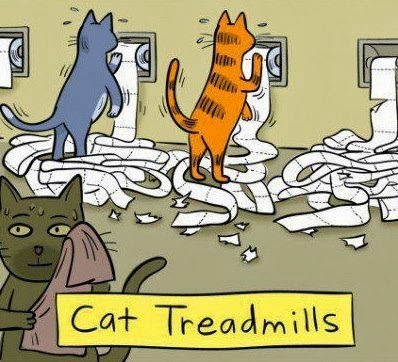 AptToCraft: Caturday cartoons