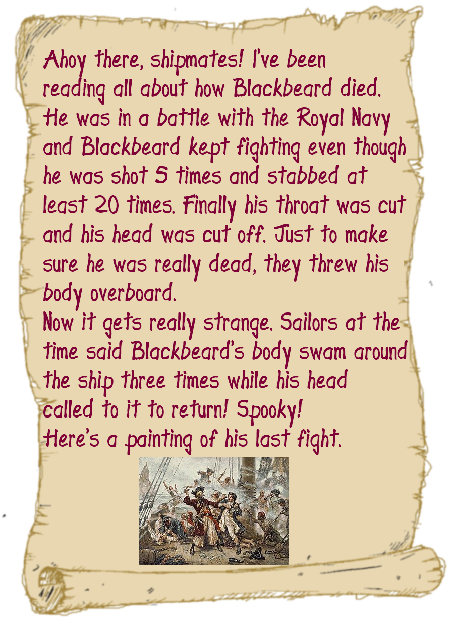 Sam Silver Undercover Pirate: Blackbeard's grisly end