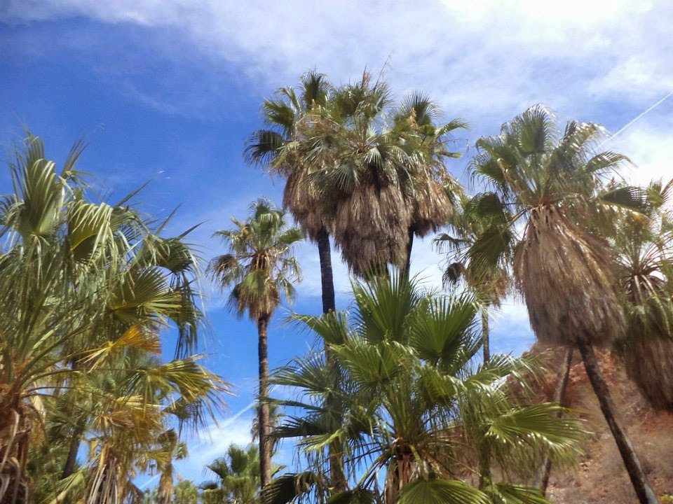 rincón escolar: Visita al Cañón de Nacapule.