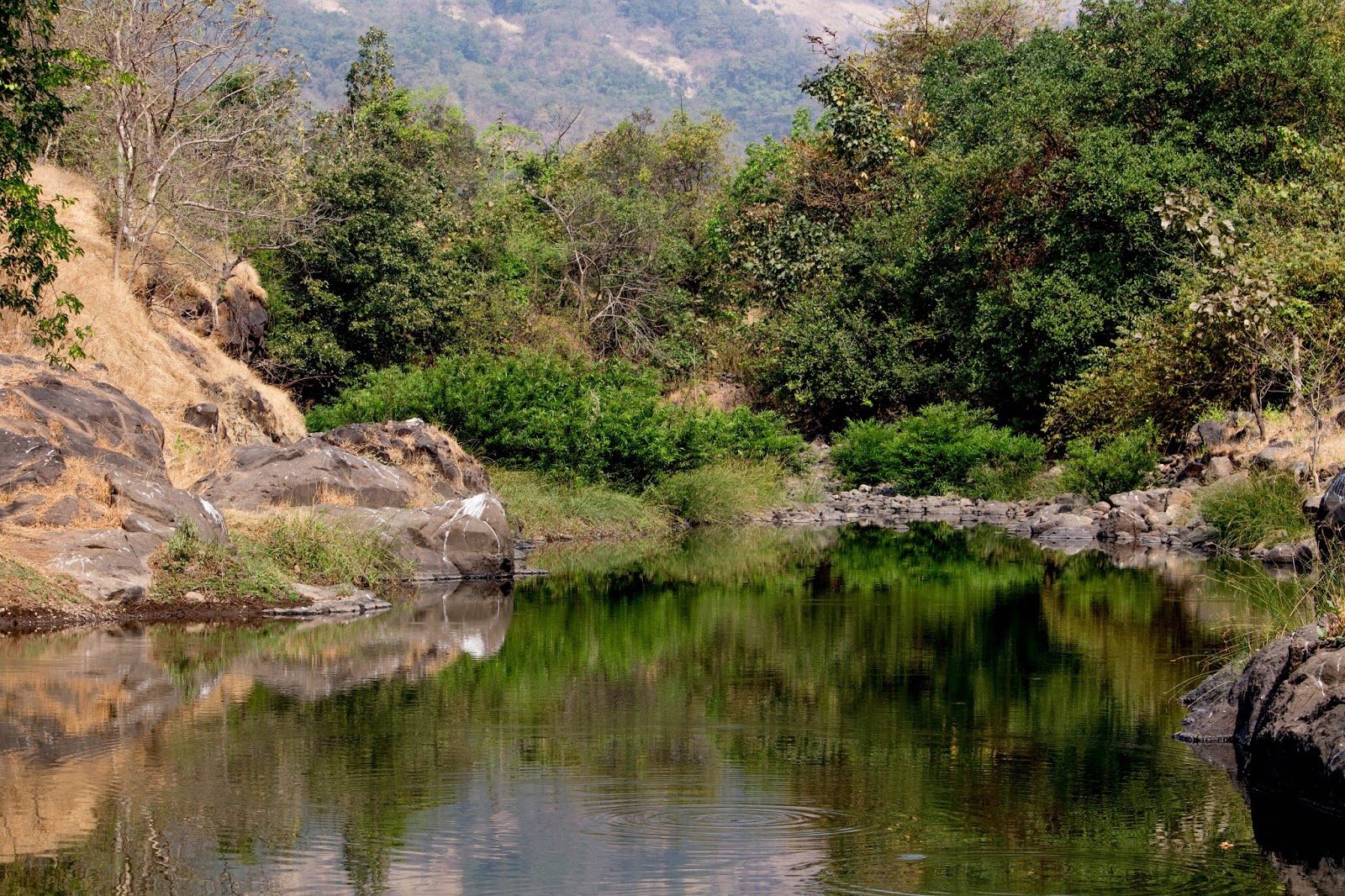 My Trekking Blog: Trek to Samarbhumi Umberkhind - The Haunt of the Baba
