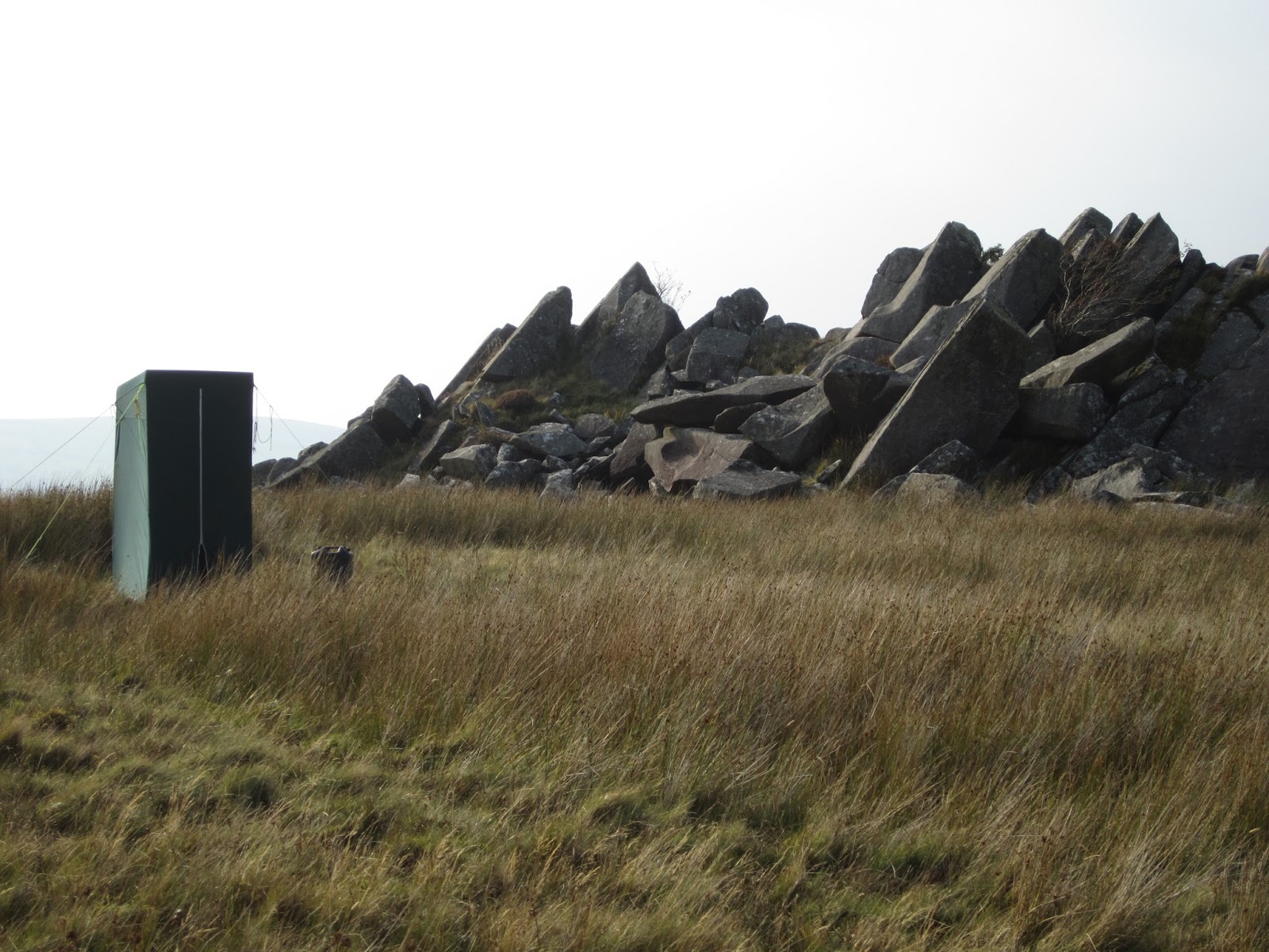 Stonehenge and the Ice Age: Carn Goedog -- no excavation reports, no ...