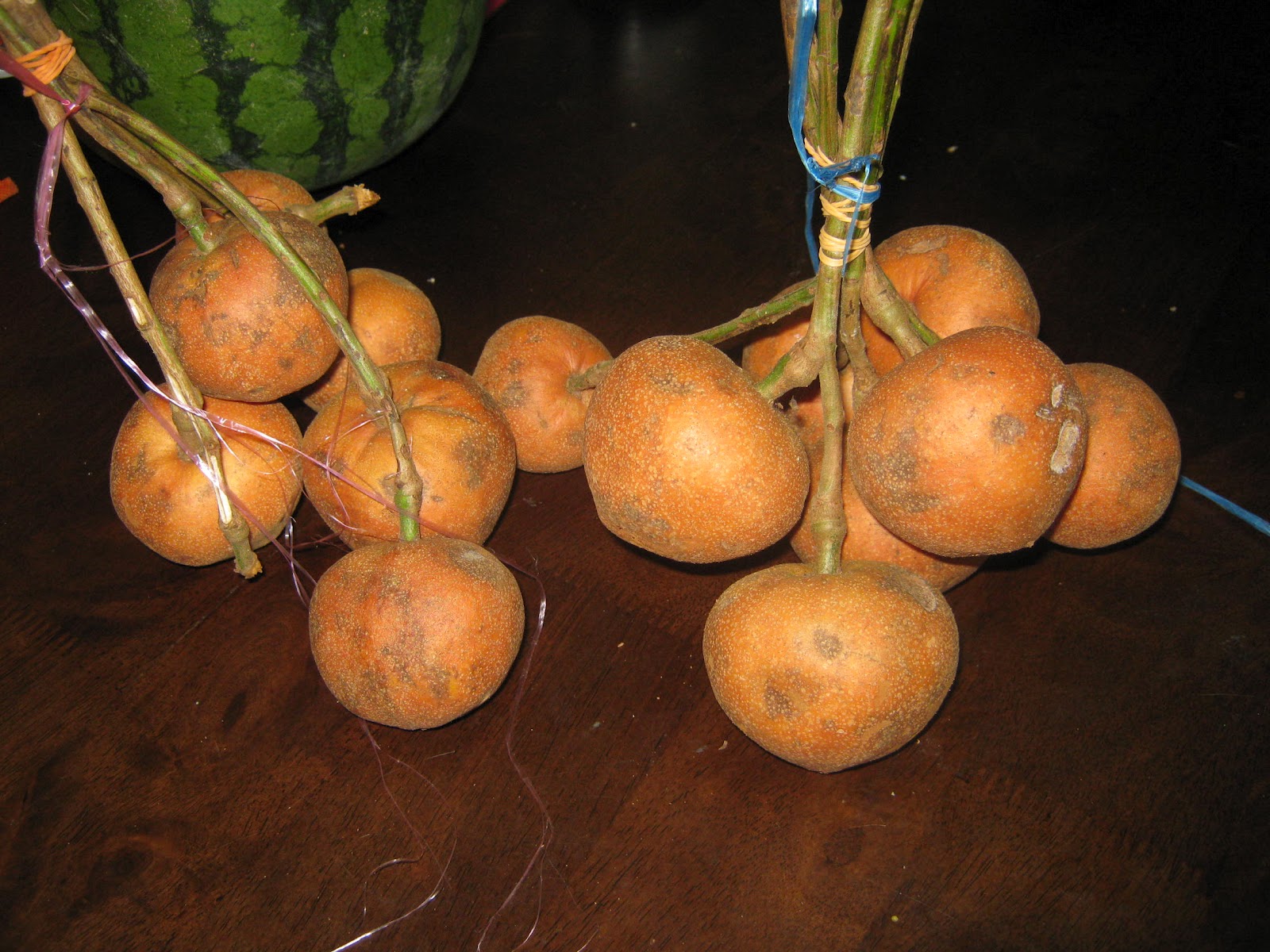 Chitty Boy and Me: Tampoi Fruit