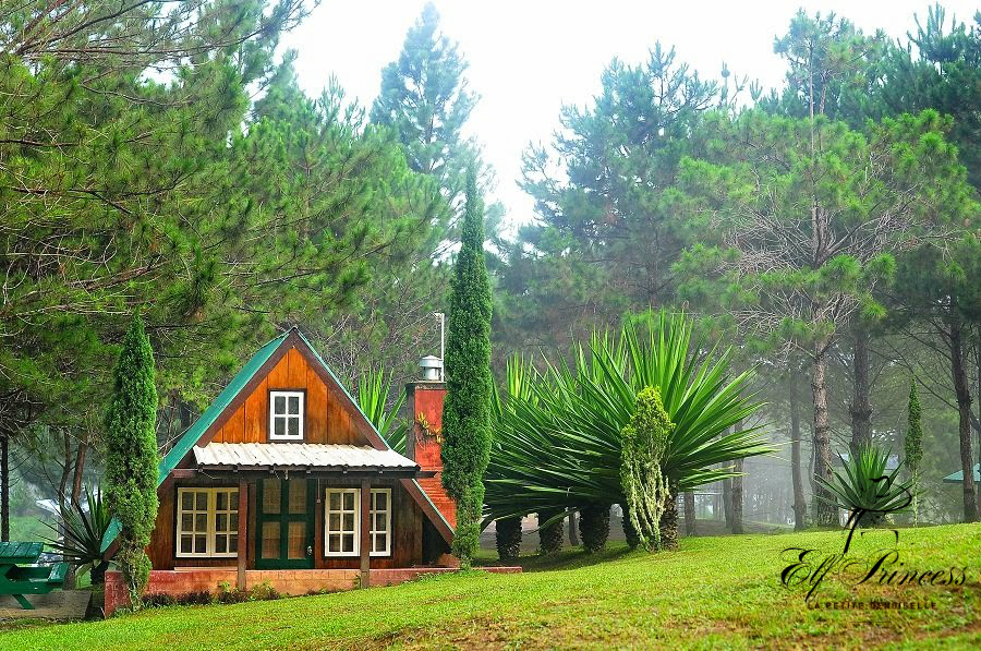 Elf Princess´ Travel Diaries: Zipline @Camp Sabros Mountain Resort