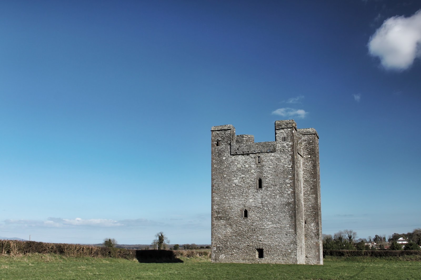 Historic Sites of Ireland: Roodstown Castle