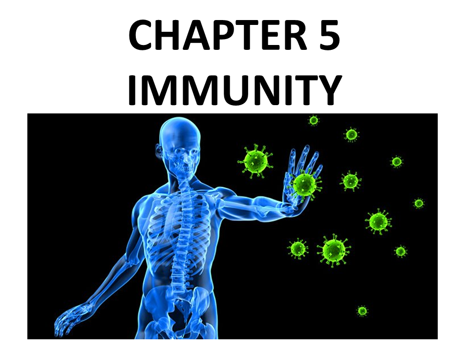 Grade 11: Chapter 5 - IMMUNITY