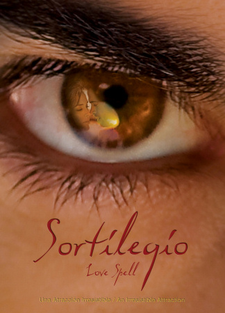 Novel Adventurers: Telenovelas, Sortilegio and William Levy