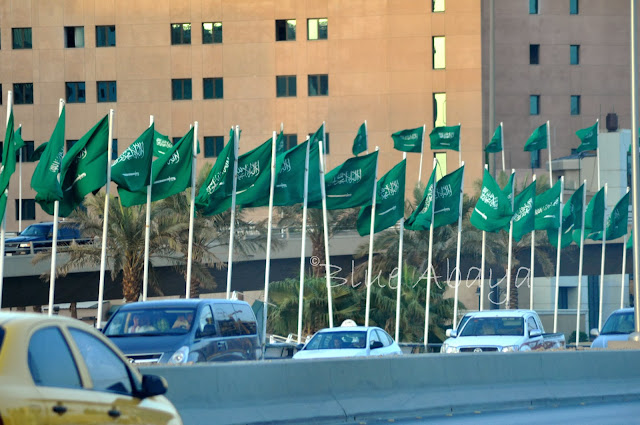 National Day Celebrations In Riyadh - Blue Abaya