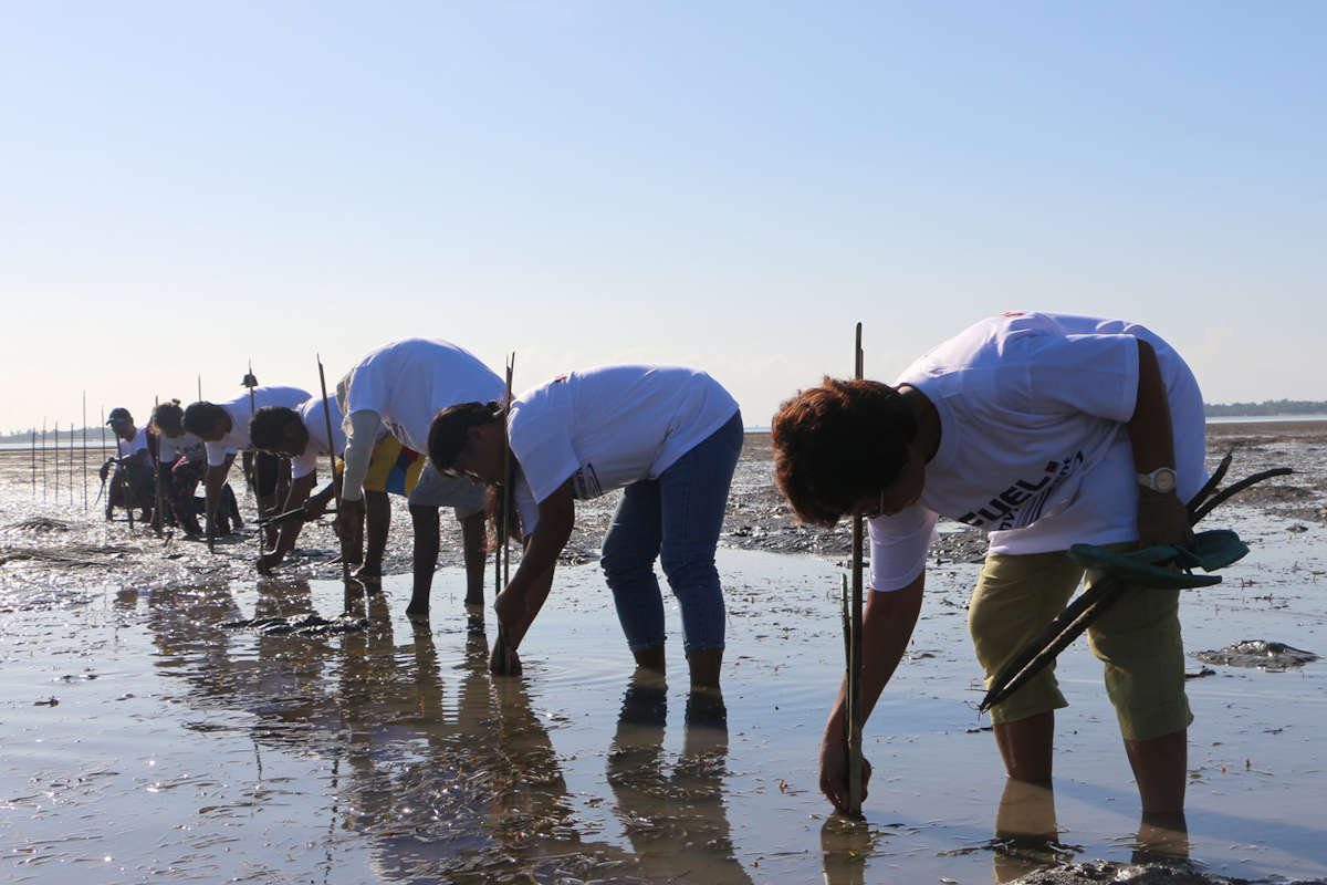 Petron Celebrates 85 Years by Fueling a Sustainable Tomorrow | CarGuide ...